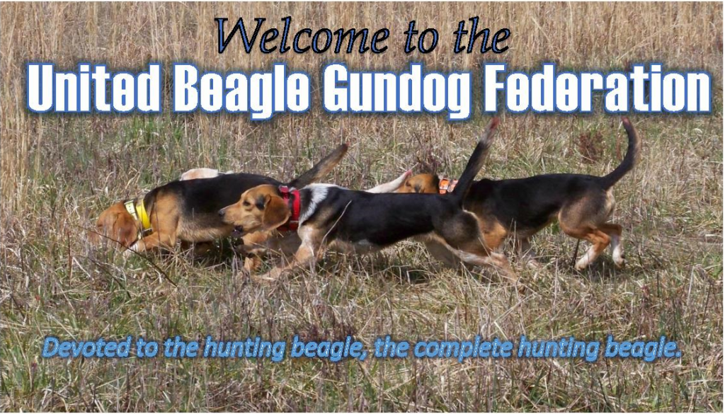 United Beagle Gundog Federation